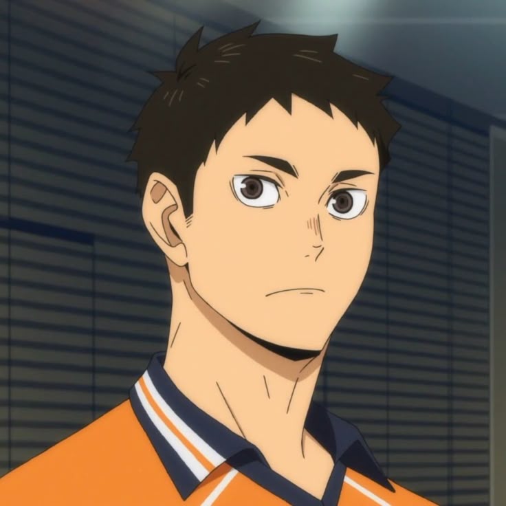 Karasuno Player Gallery